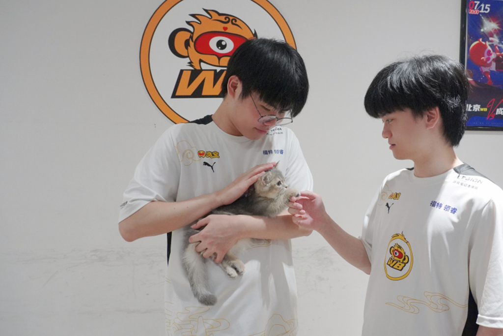 KPL7.22看点：EDGM冲七连胜，LGD生死战，eStar和WB争S1-小米游戏中心